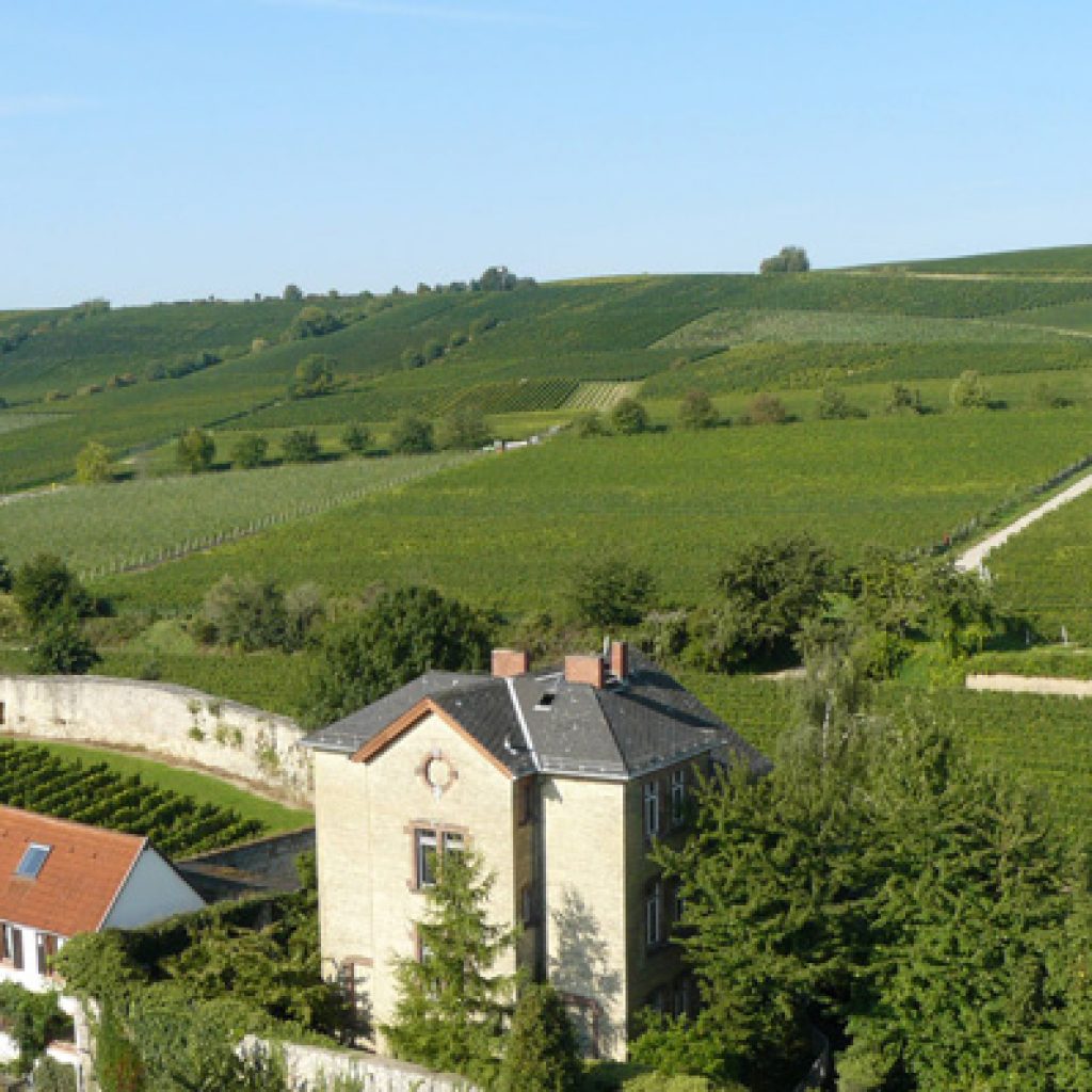 Weingut – Weingut Dahlem